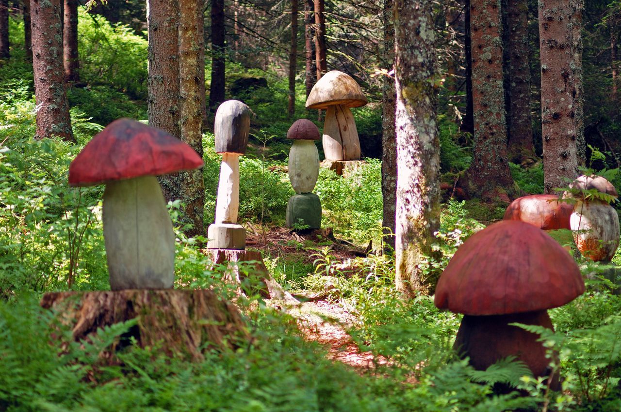 Zauberwald-Pfad in Bernau im Schwarzwald, Erlebnispfad, Themenweg ...