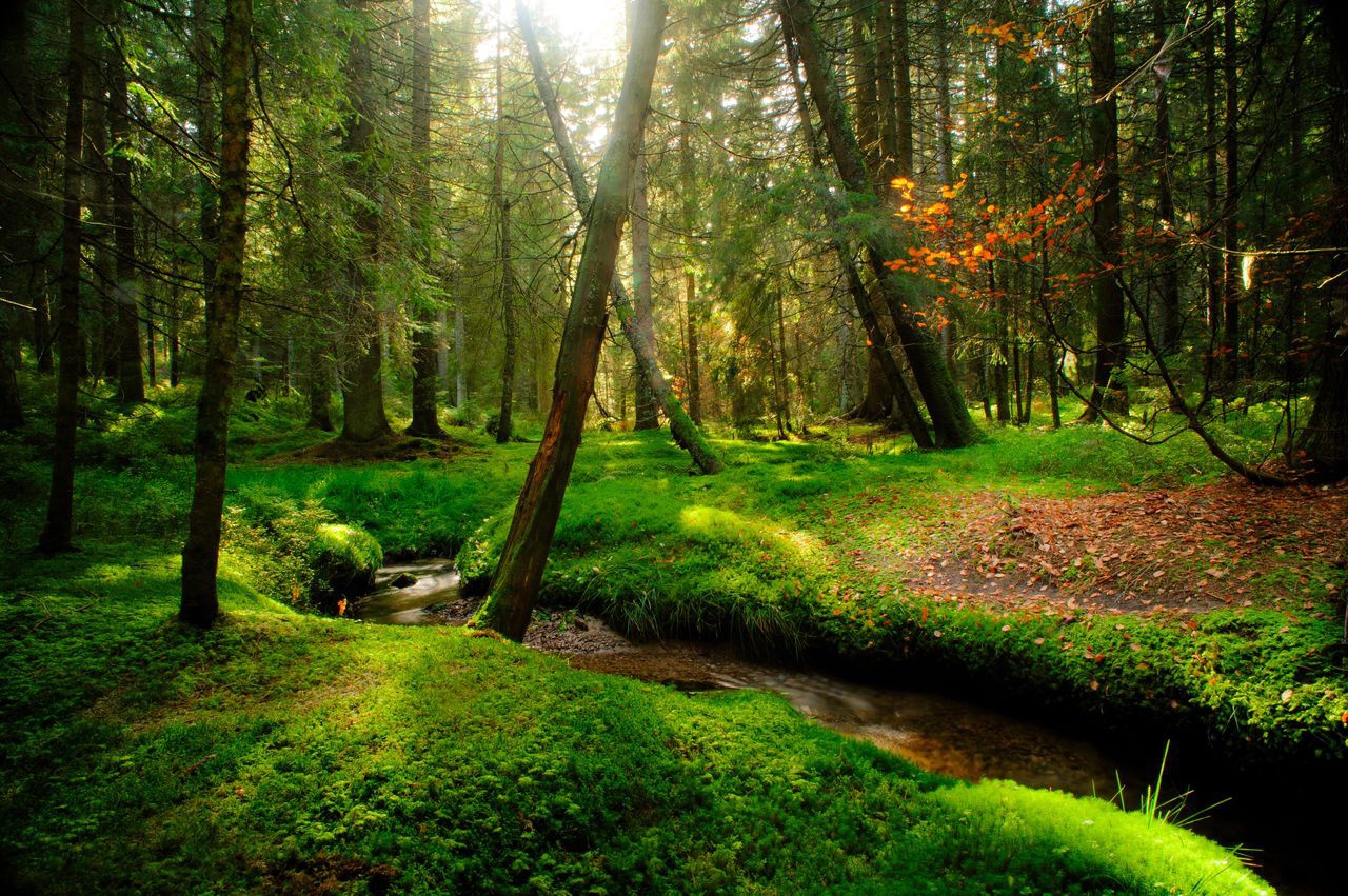 Presseinfo Top 100 Deutscher Ferienziele